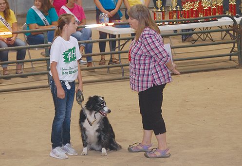 Going to the dogs | News, Sports, Jobs - The Freeman Journal